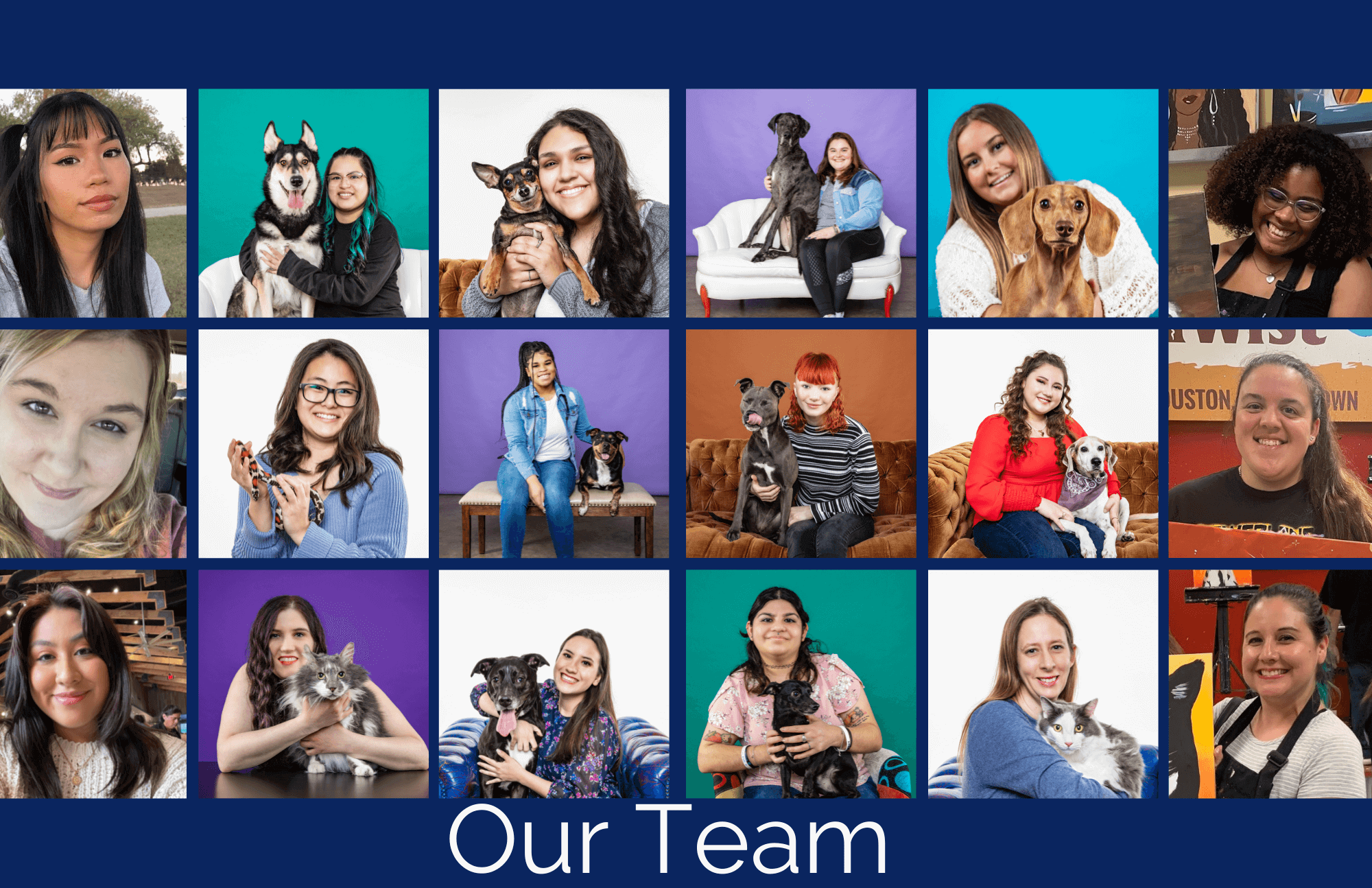 Our Team - Bissonnet Veterinary Hospital