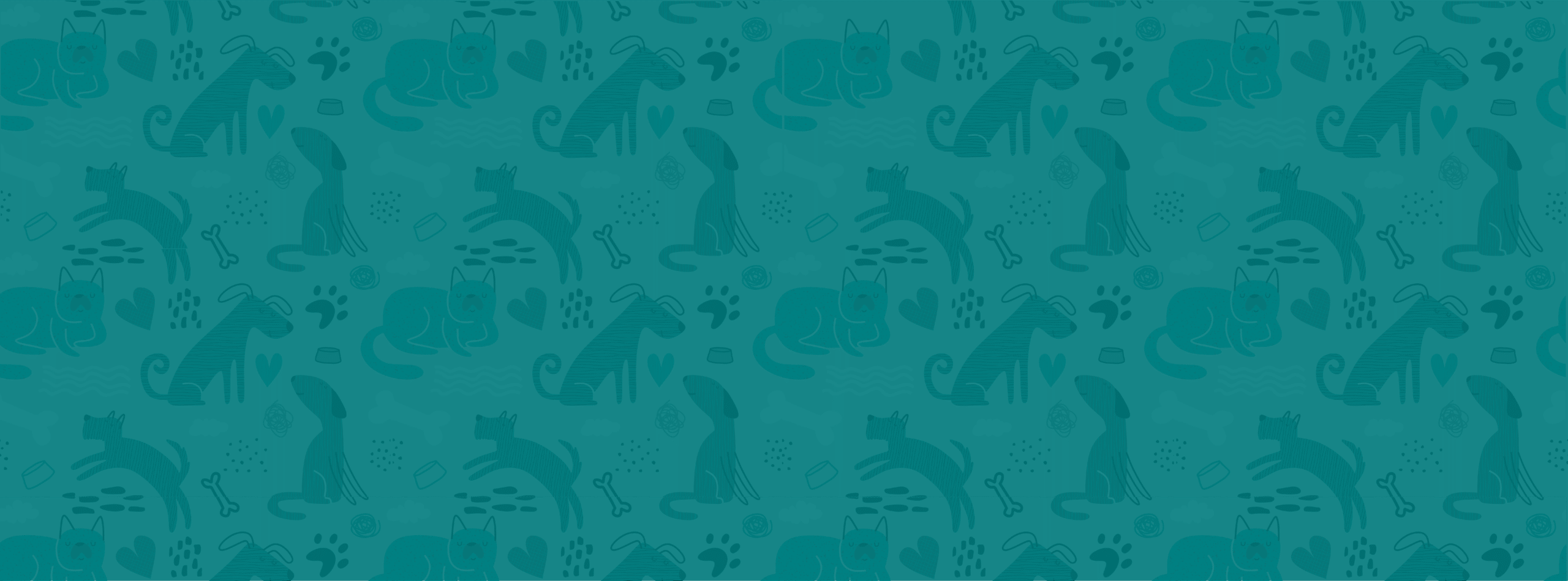 Our Veterinarians - Bissonnet Veterinary Hospital