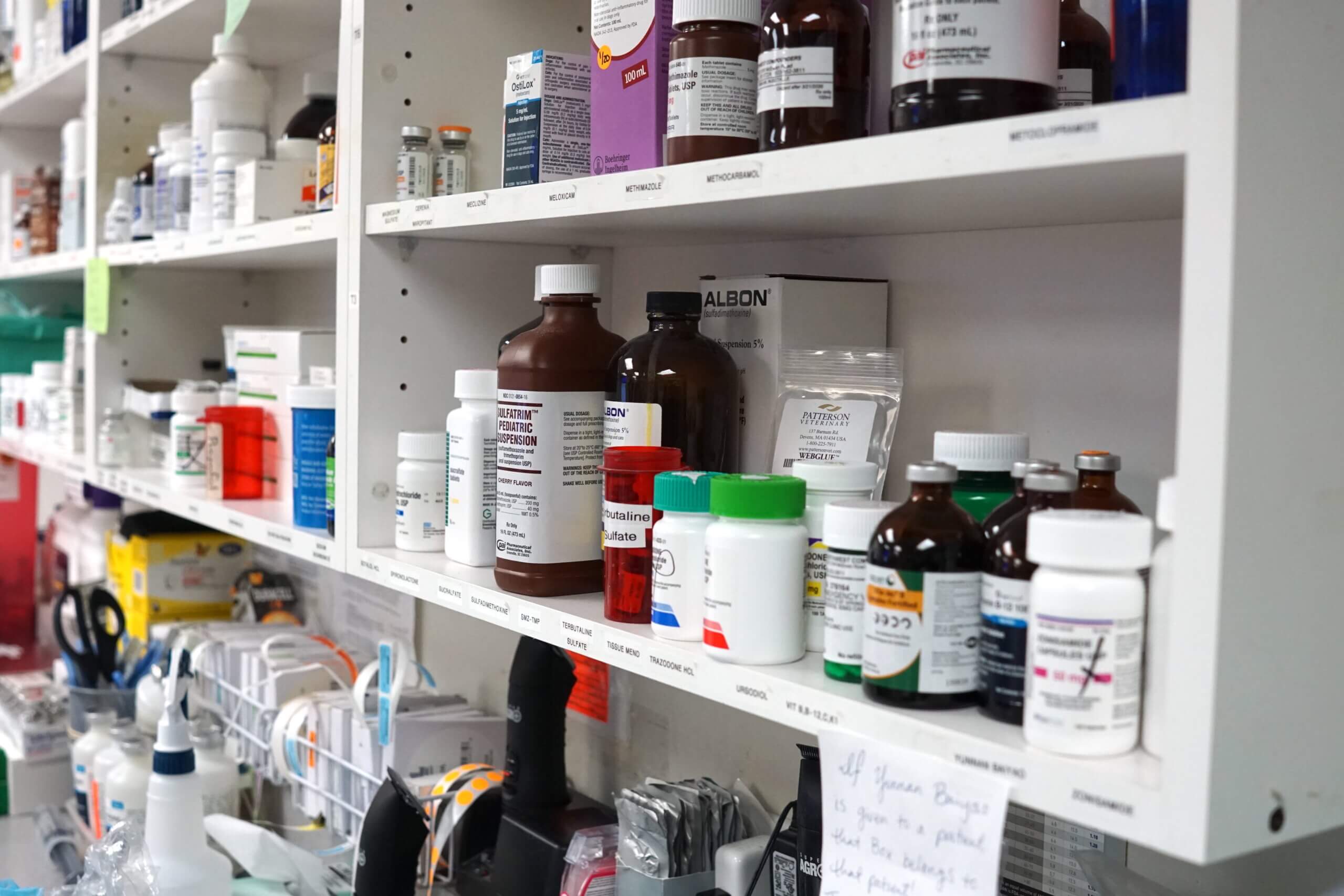 Online Pet Pharmacy | Bissonnet Veterinary Hospital